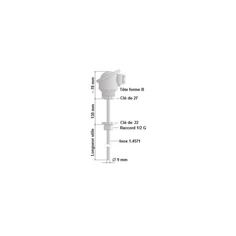 Sonde G Pt ou Pt avec extension et tête forme B