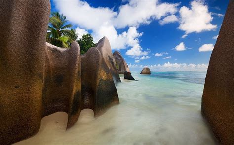 Sand Water Tropical Palm Trees Vacation Sea Summer Nature Rock