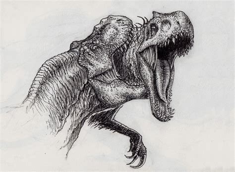 How To Draw A T Rex From Jurassic Park