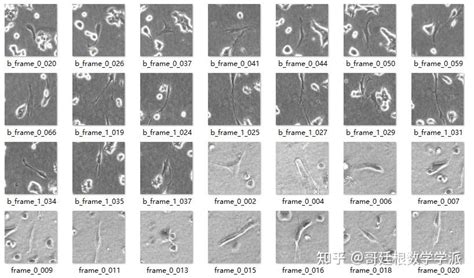什么是智能故障诊断的机器迁移学习方法？ 知乎