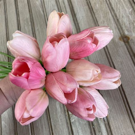 Tulips 6 Assorted Pink Cornucopia
