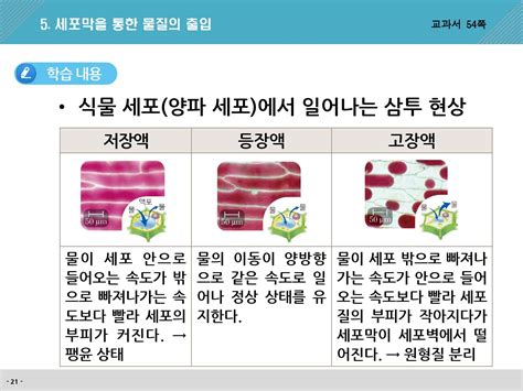 미래엔 엠티처