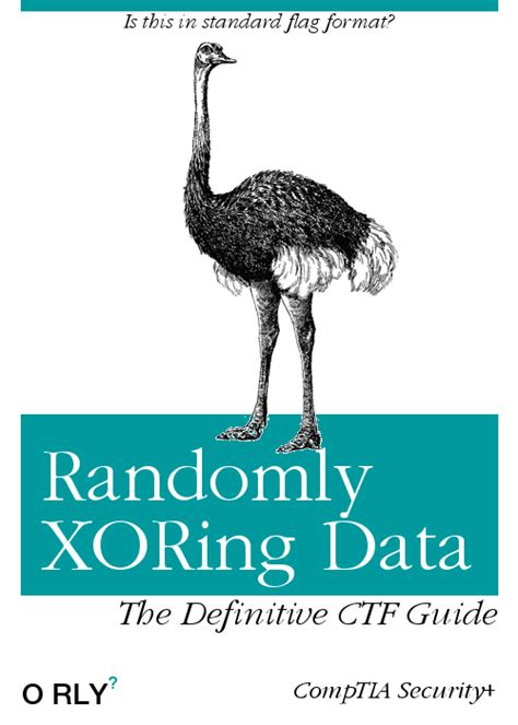 professional ctf guide r securityctf