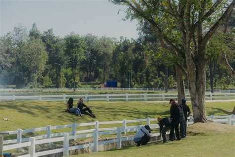 Lara Devora Lara Devora Added A New Photo