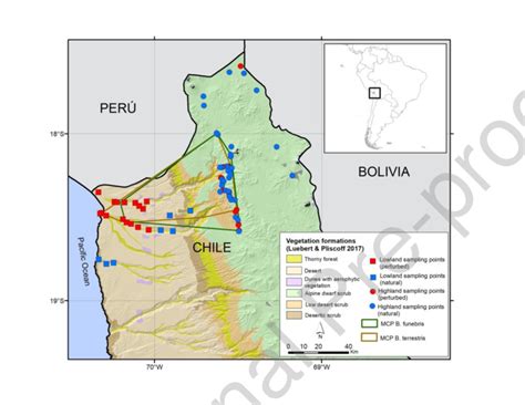 Sampling Points Of Bumblebee Species In Chile Mcp Minimum Convex