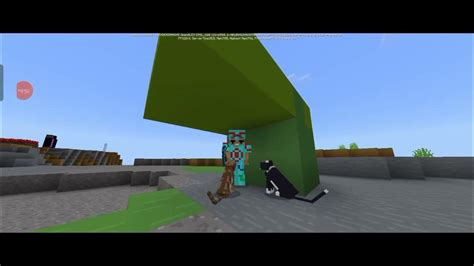 လမြောင်craft Ep 11 ကြောင်ကလေးတွေကိုနာမည်ပေးမယ် Villager တွေကို နန်းဆောင်ထဲထည့်မယ် Youtube