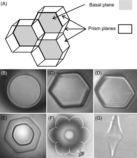 Ice Lattice Crystal Structure A The Structure Of Ice Crystals Having Download Scientific