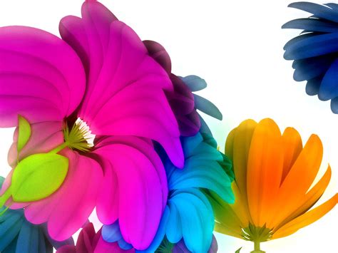 flowers for flower lovers.: Flowers arts pictures.