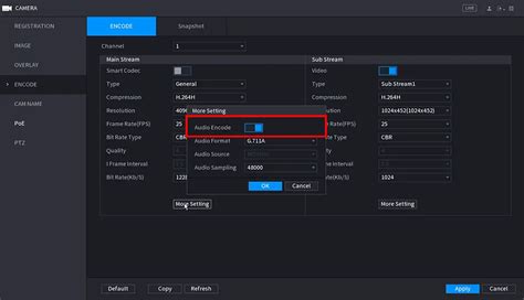 How To Enable Audio Recording On Dahua Camera Or DVR NVR SecurityCamCenter