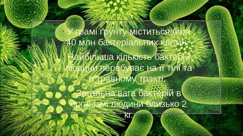 Презентація Природознавство 5 клас Різноманітність організмів