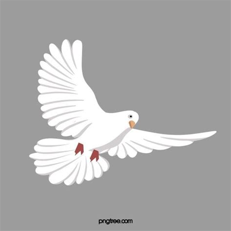 White Bird Flying With Its Wings Spread
