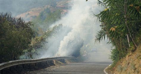 Incendi Il Capo Della Protezione Civile In Calabria Le Regioni Devono Tutelare Il Territorio