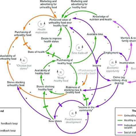 Themes And Feedback Loops In The Synthesized Causal Loop Diagram Download Scientific Diagram