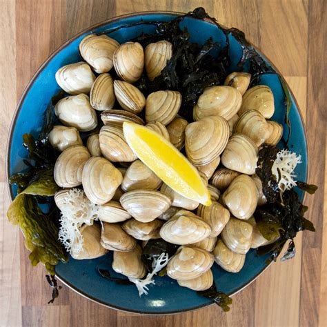 Galway Bay Seafoods