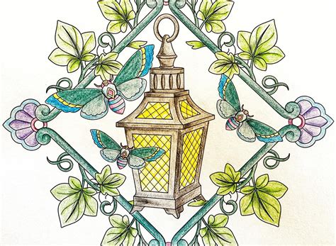 Lantern And Moths By Artistmarianhayes On Deviantart