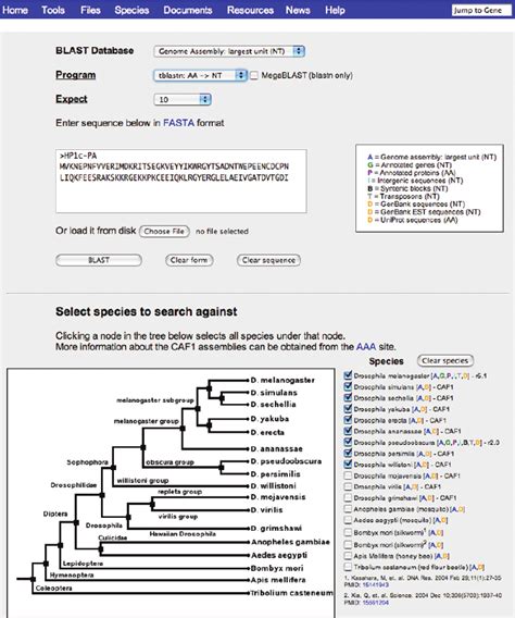 The Flybase Blast Tool ‘blast Database Selection Options Are Shown In