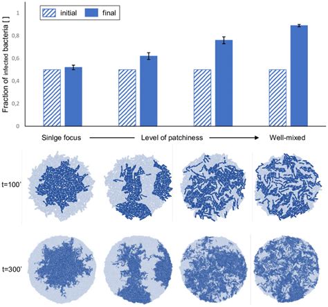 Spatial Clumping A↵ects Plasmid Propagation Simulations Were Run For
