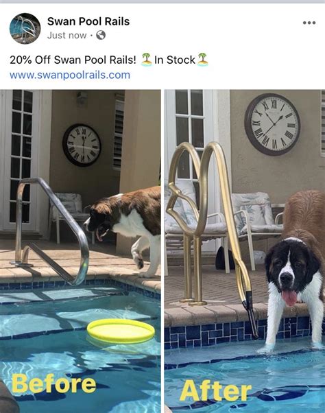 Swan Pool Rails Swimming Pool Handrails Swimming Pools Pool Rails