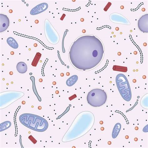 Vacuole Illustrations Royalty Free Vector Graphics And Clip Art Istock