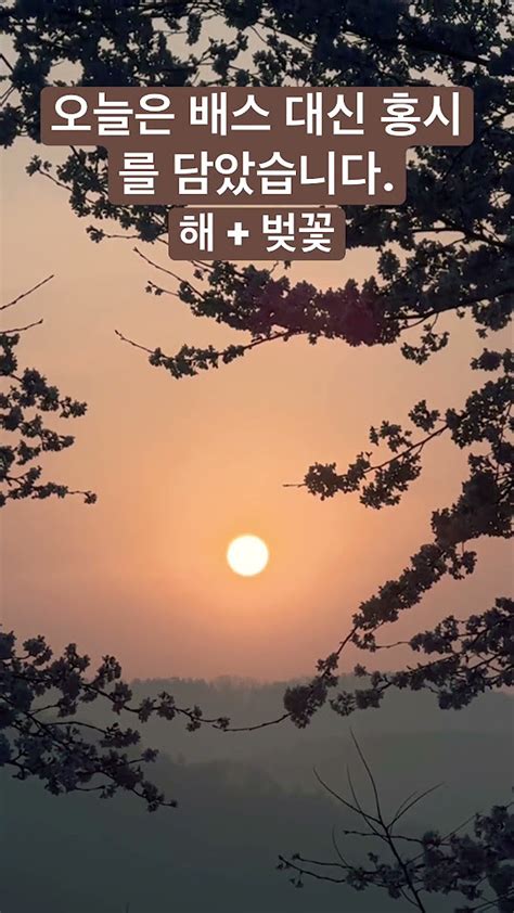 오늘 아침은 바빠서 배스낚시는 못갔지만 이쁜 해를 만나 핸드폰에 담았습니다 Youtube