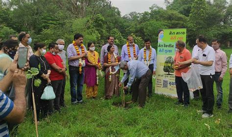 Ujjain Medicinal Plant Botanical Garden Inaugurated In Kalidas Girls
