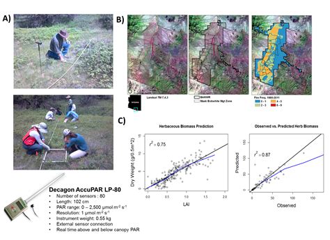 Field Leaf Area Index Lai Measurements For Estimating Fuel Loads Land Imaging Report Site
