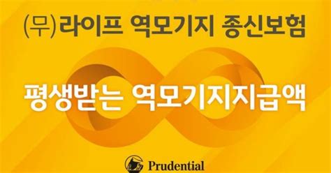 푸르덴셜생명보험 역모기지 적용 종신보험 출시 外 신한라이프 쿡경제