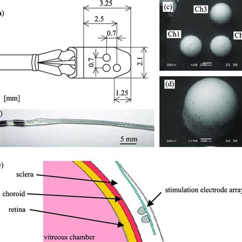 The Electrode Array With Three Bullet Shaped Pt Electrodes Was