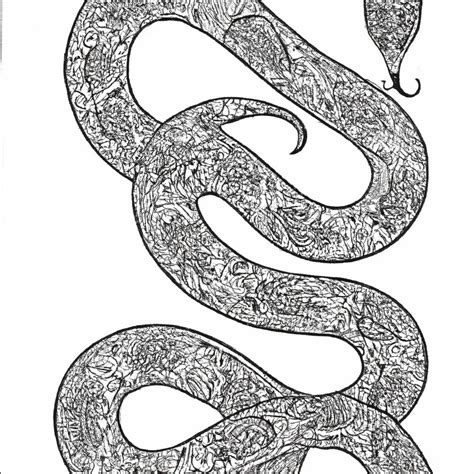 Admire A Beleza Dos Desenhos De Serpentes Para Colorir