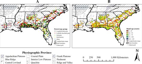 Growth Proportion And Distribution Pattern Of Longleaf Pine Across