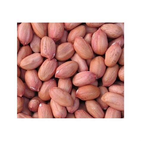 60 70 Bold Ground Nut Kernel At Rs 98 Kg Groundnut Kernels In