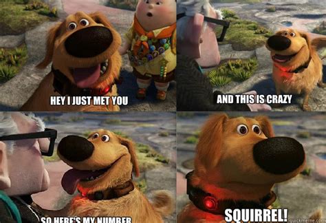 Hey I Just Met You And This Is Crazy Squirrel So Heres My Number
