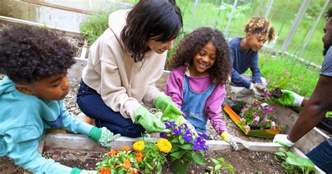 Solving Equal Grouping Problems Lesson Maths Au