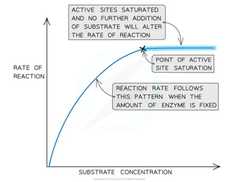 Substrate Concentration Flashcards Quizlet