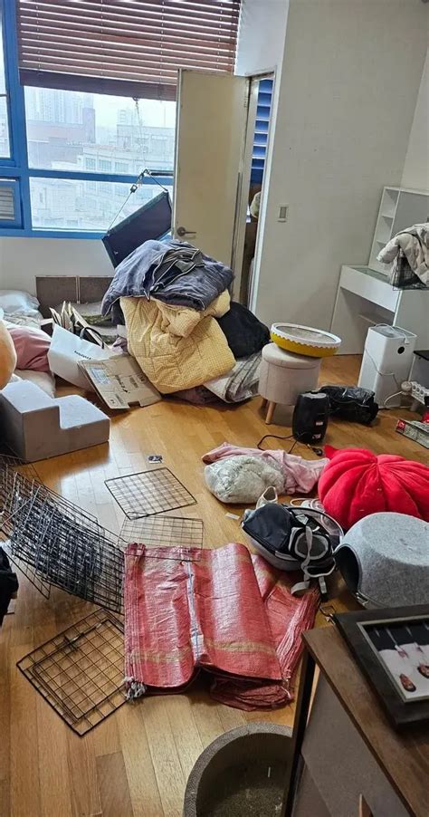 폐기물 처리 느루인테리어 숨고 숨은고수