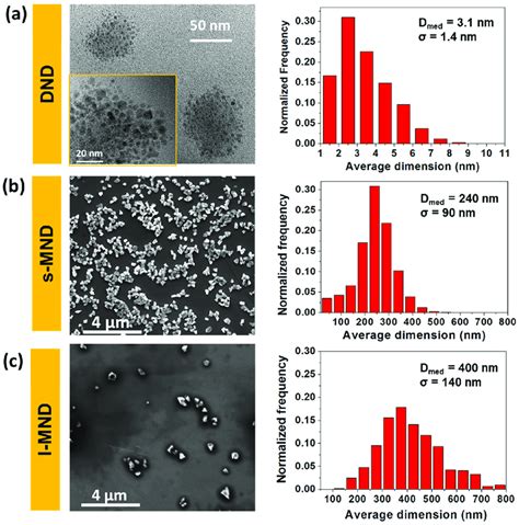 Tem Dnds A And Sem S Mnds B And L Mnds C Images And Derived