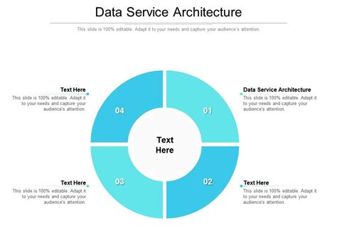 Data Service Architecture Ppt Powerpoint Presentation Styles Graphic
