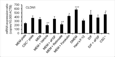 Comparison Of Cldn1 Mrna Expression Ratios Under Different Jeg 3