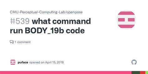 What Command Run BODY 19b Code Issue 539 CMU Perceptual Computing