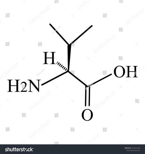 Valine Amino Acid Chemical Molecular Formula Stock Vector Royalty Free