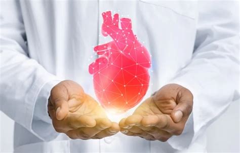 Ai Breakthrough Promises Faster And Accurate Heart Attack Diagnoses Md Fm