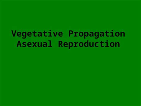 Ppt Vegetative Propagation Asexual Reproduction Stem Cutting