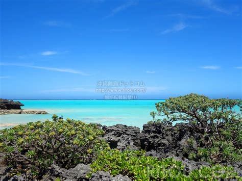 20210802公開の沖縄写真ブログ（与論島編）