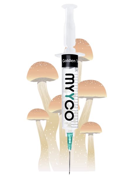 Golden Teacher Mushroom Liquid Culture
