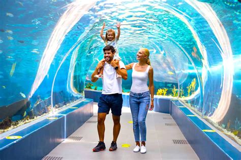 Cebu Ocean Park 2024 Guide And Review Philippines Unleashed