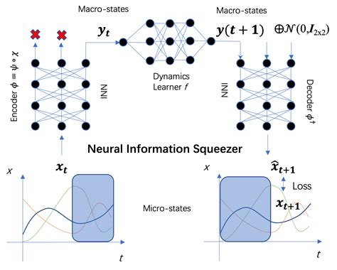 Github Jakezj Nis For Causal Emergence