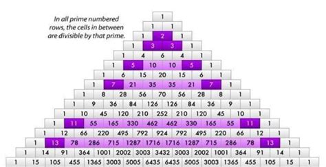 杨辉三角与11次方 杨辉三角11的8次方 杨辉三角是如何发现的 第8页 大山谷图库