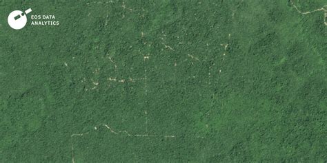 Forest Fragmentation Causes Effects And Conservation Efforts