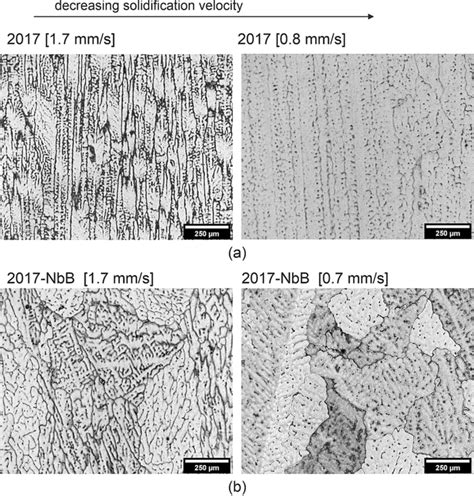 Representative Optical Microscope Images In The Longitudinal Direction Download Scientific