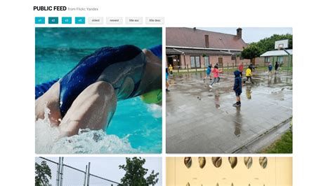 10 The Best Open Source React Projects 2024 Themeselection